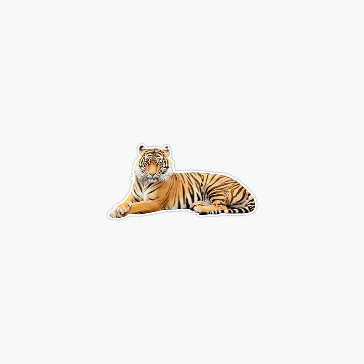Onim Tiger Sticker - Walmart.com