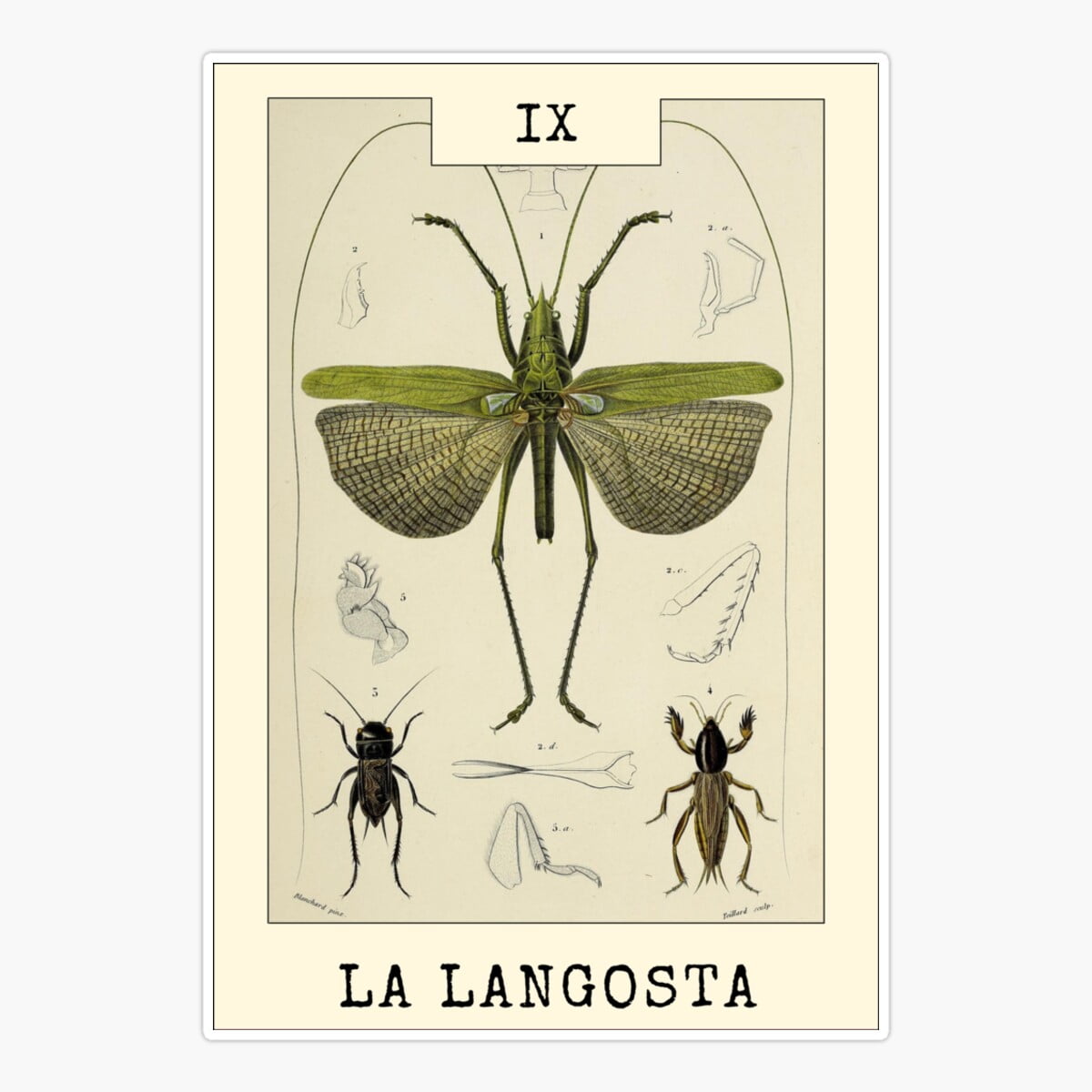 Onim Tomcat Vf-143 Pukin' Dogs Sticker, Phone Decal Water Bottle ...