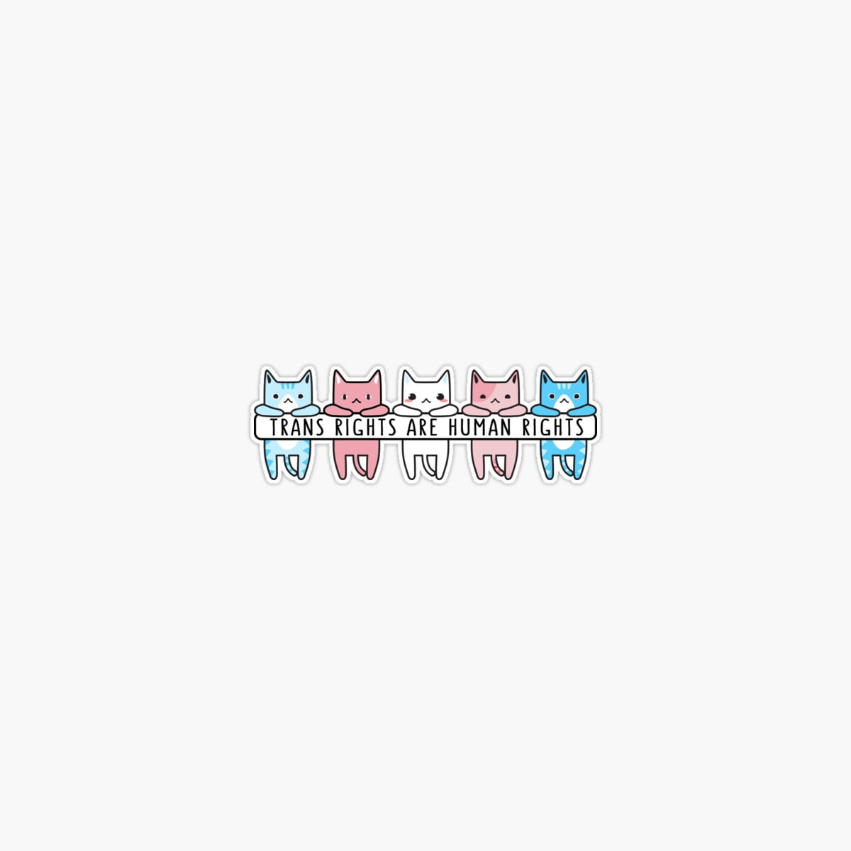 Onim Transgender Flag Color Cats: Trans Rights Are Human Rights Sticker ...