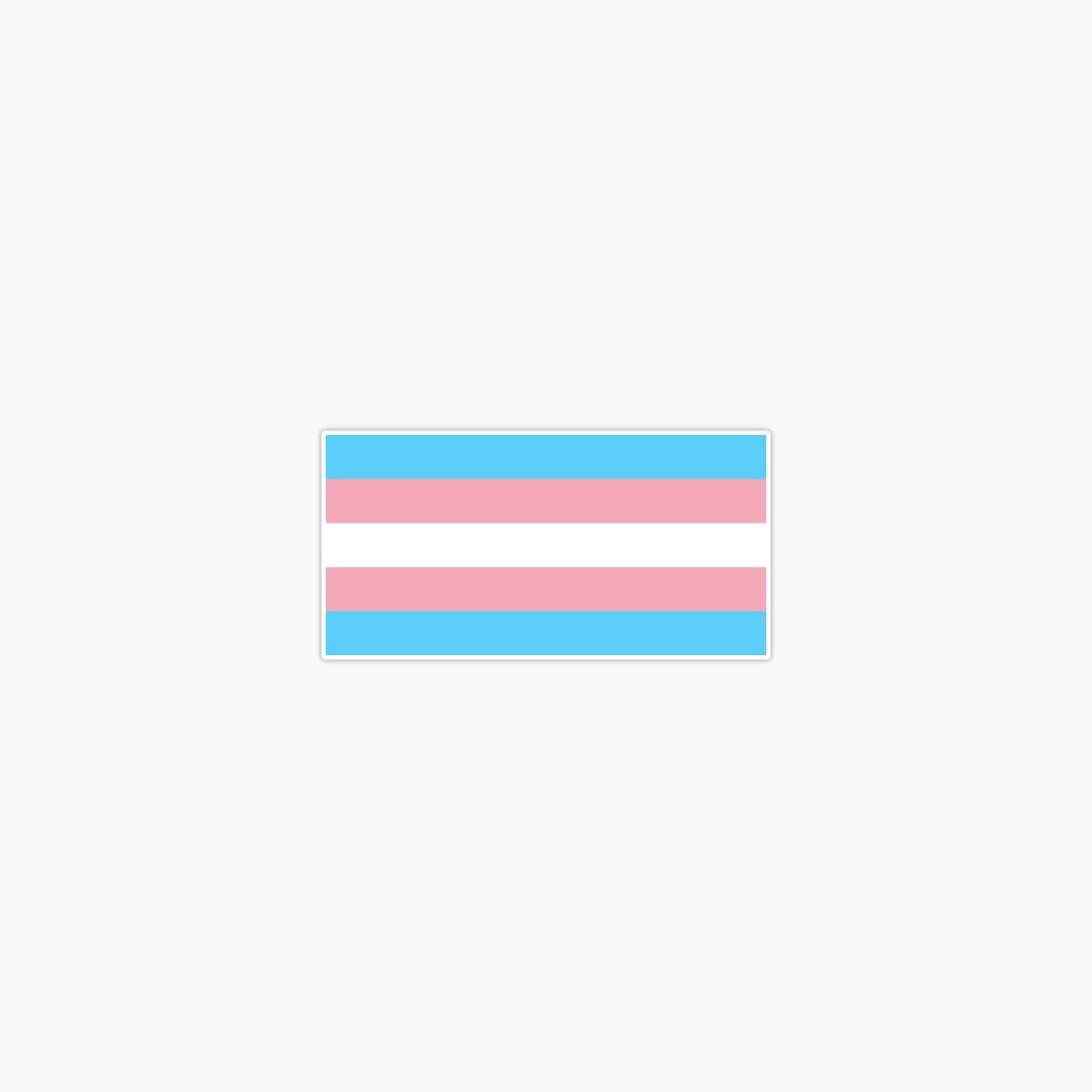 Onim Transgender Pride Flag Sticker, Phone Decal Water Bottle Stickers ...