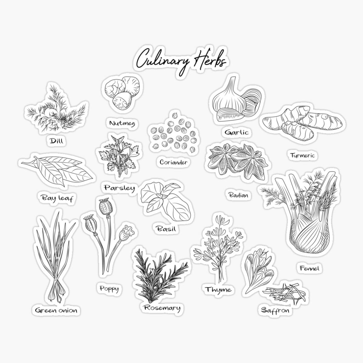 Onim Tri Color Bernedoodle Sticker, Phone Decal Water Bottle Stickers ...