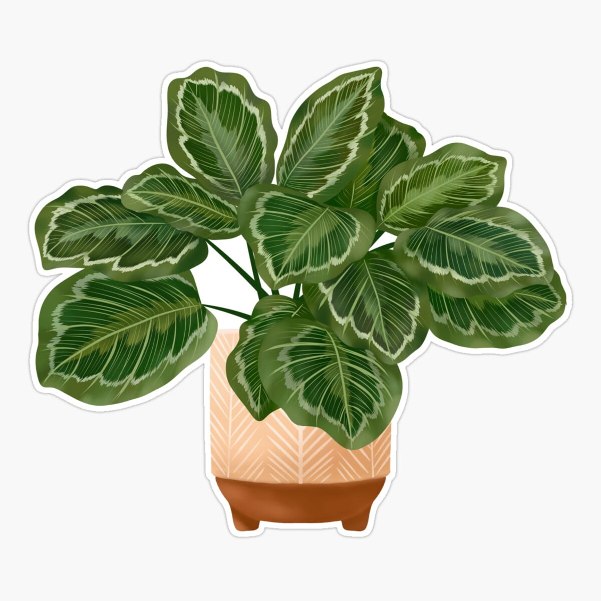 Onim Turtle Duck (No Water) Sticker, Phone Decal Water Bottle Stickers ...