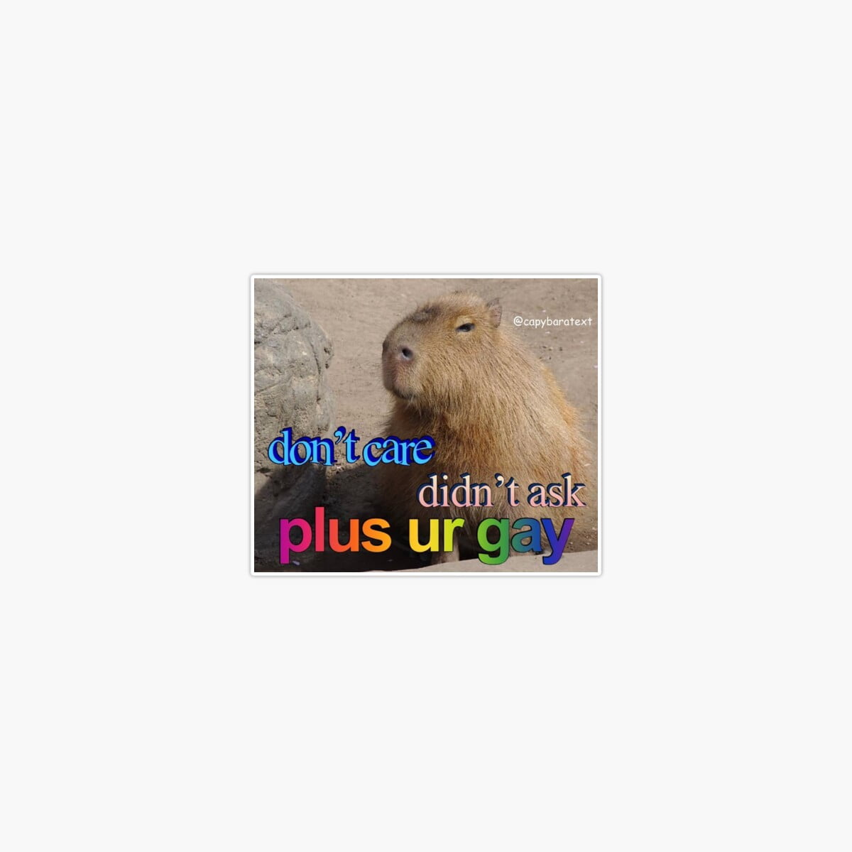 Onim Ur Gay Capybara Meme Sticker, Phone Decal Water Bottle Stickers Car Decals, Funny Birthday ...
