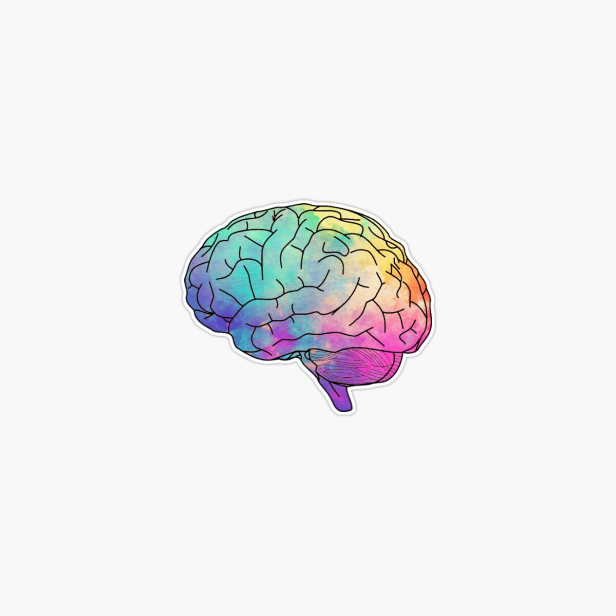 Onim Watercolor Brain Sticker, Phone Decal Water Bottle Stickers Car ...