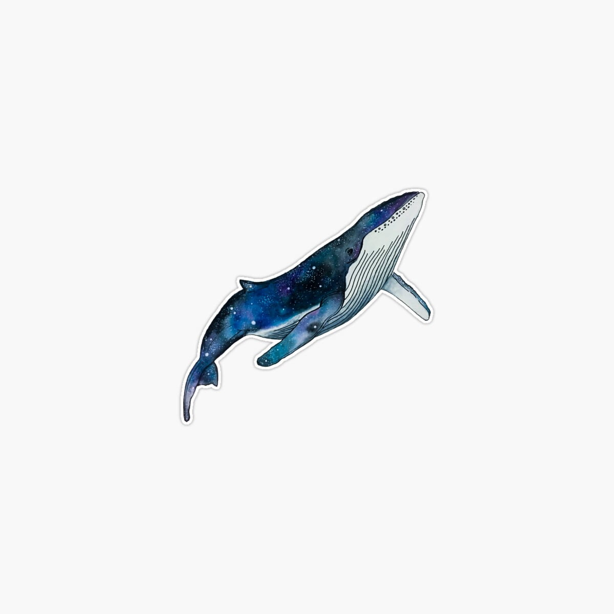 Onim Watercolour Galaxy Humpback Whale Sticker, Phone Decal Water ...