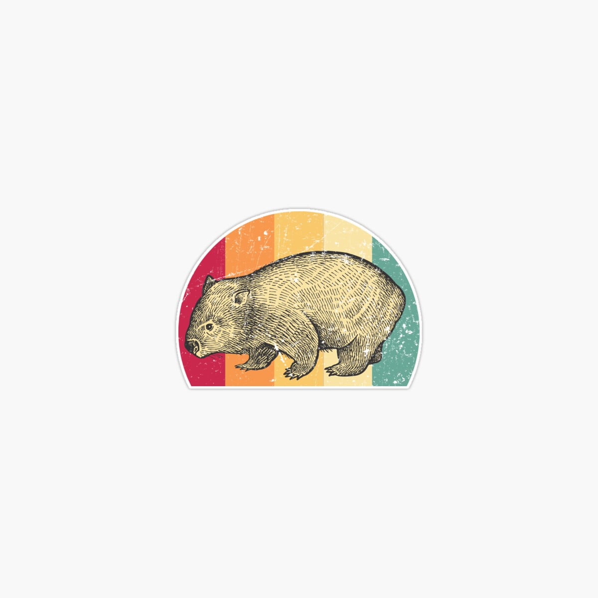Onim Wombat Retro Sticker, Phone Decal Water Bottle Stickers Car Decals ...