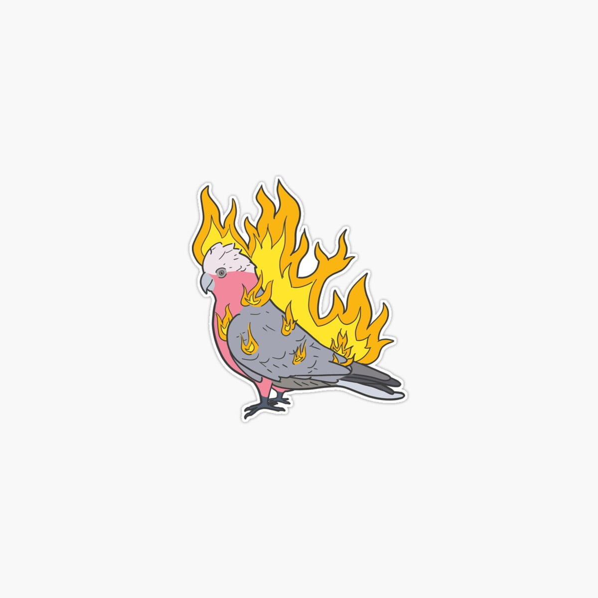Onim Yah Flamin' Galah Sticker, Phone Decal Water Bottle Stickers Car ...