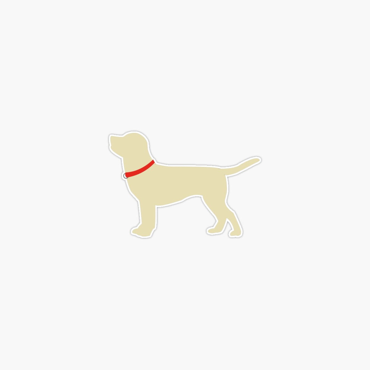 Onim Yellow Labrador Retriever, Every Lab Lovers Favorite With Red ...