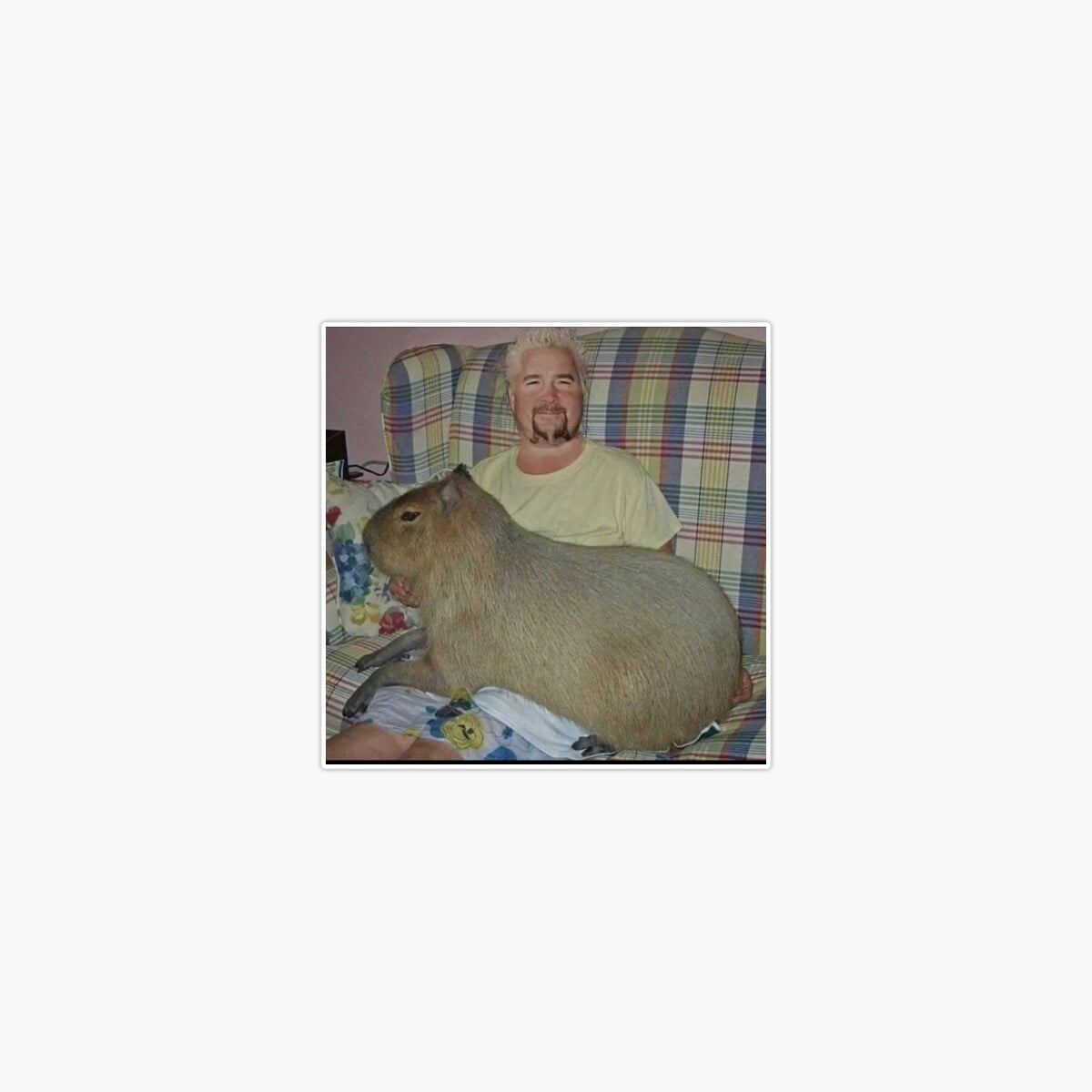 Onim guy fieri with capybara Sticker - Walmart.com