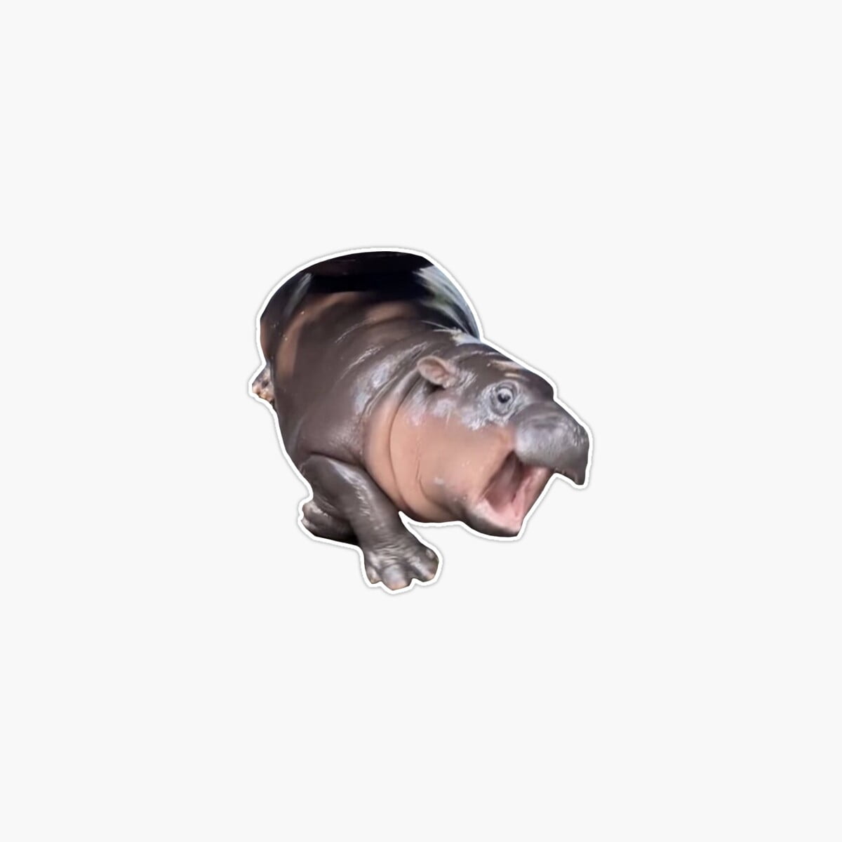 Onim Moo Deng: Mom Stahhppp Sticker, Phone Decal Water Bottle Stickers ...