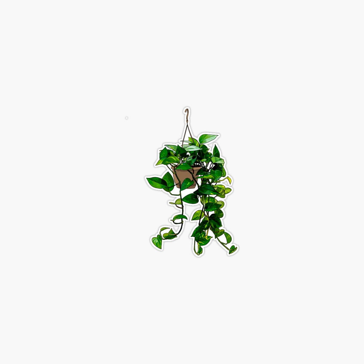 OnimHanging Pothos Plant Sticker, Phone Decal Water Bottle Stickers Car ...