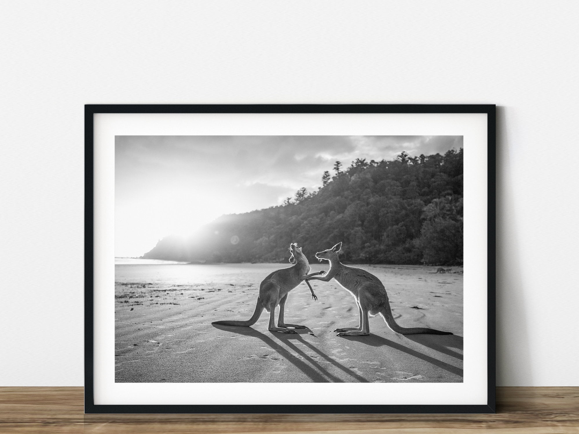 Onimhouse Poster Kangaroos On Beach Black And White Animal Photography ...