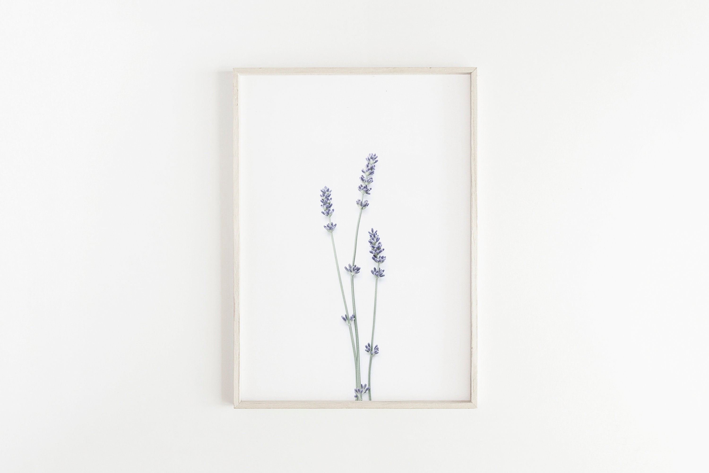 Onimhouse Poster Lavender Print Kitchen Wall Art Prints Botanical ...
