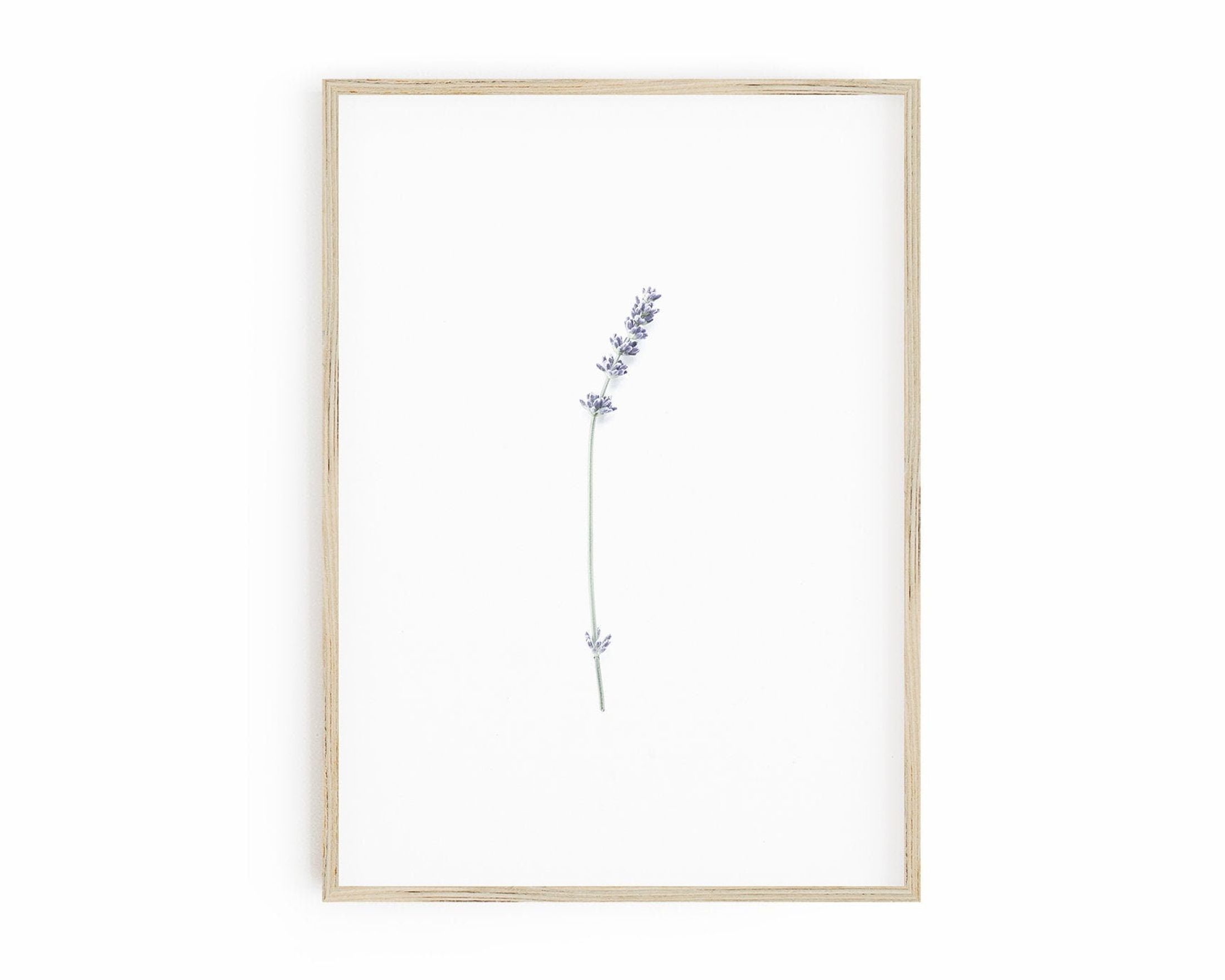 Onimhouse Poster Lavender Stem Print Modern Purple Flower Kitchen Wall ...