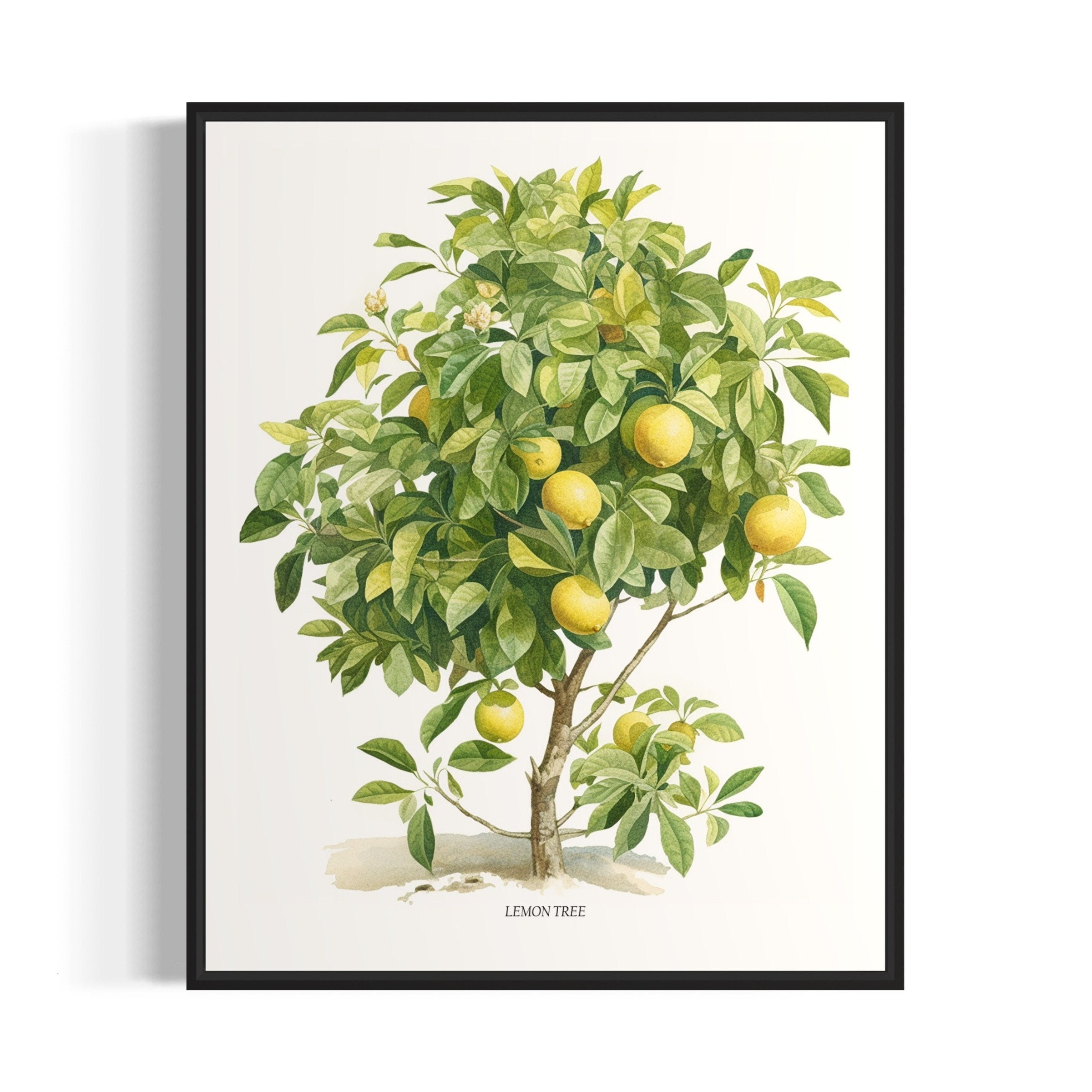Onimhouse Poster Lemon Tree Art Print, Lemon Tree Wall Art Poster ...