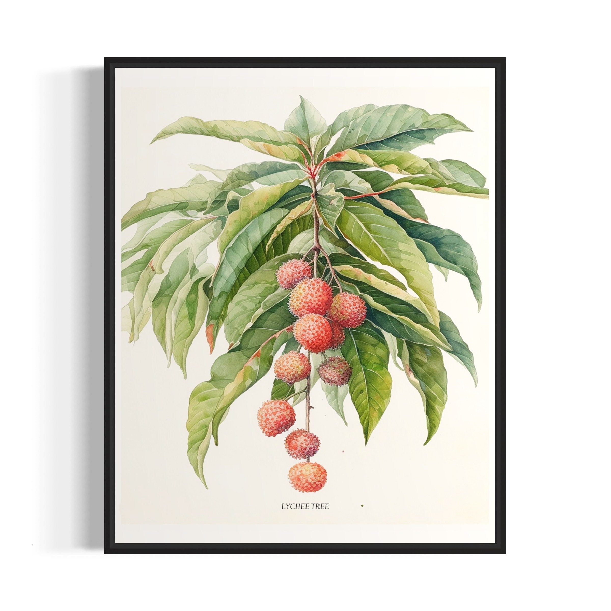 Onimhouse Poster Lychee Tree Art Print, Lychee Tree Wall Art Poster ...