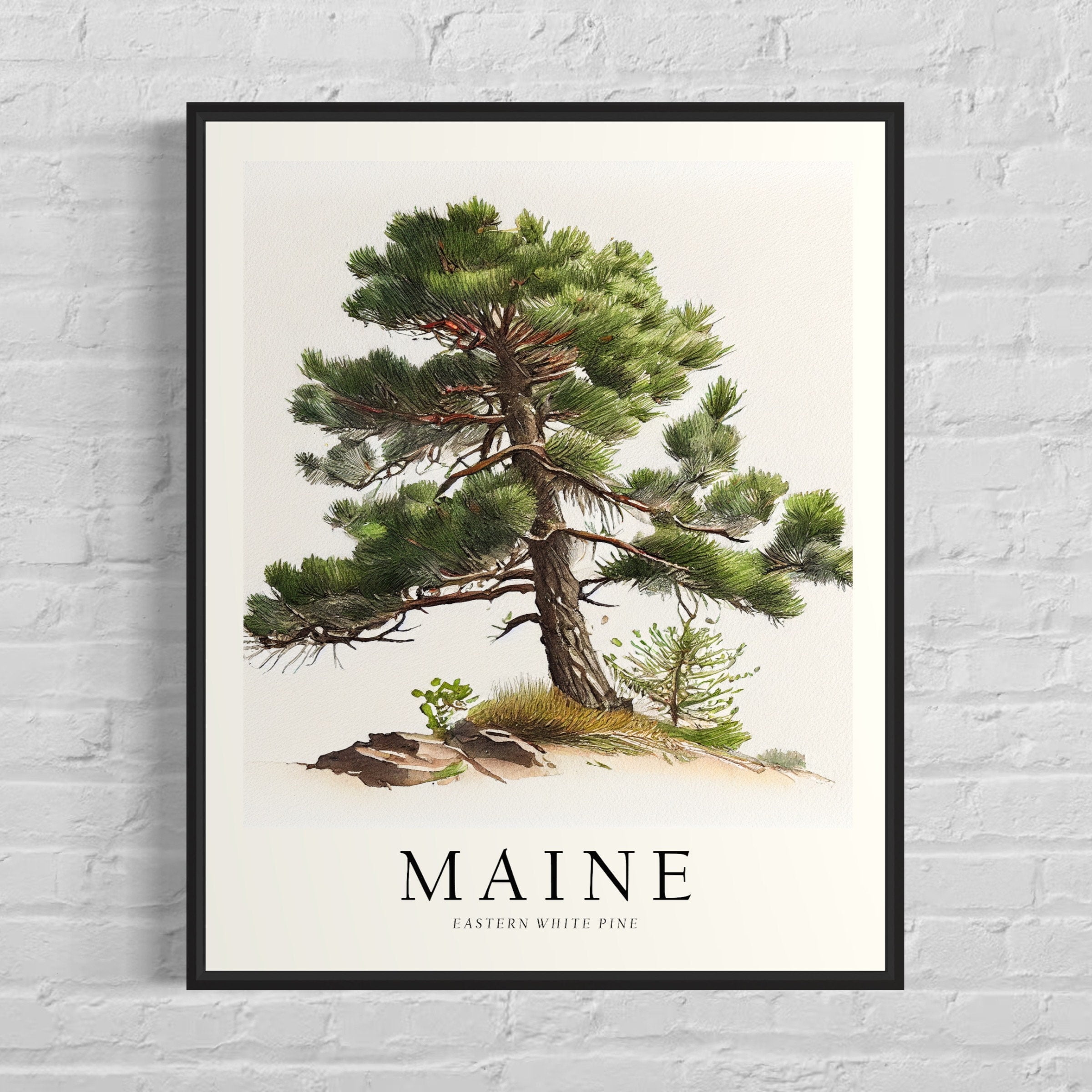 Onimhouse Poster Maine State Tree Art Print, Eastern White Pine Tree ...