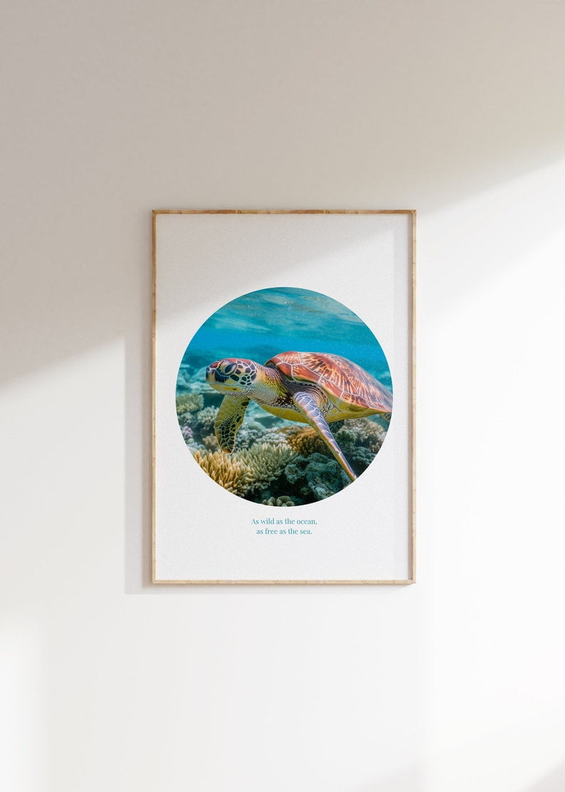 Onimhouse Poster Ocean Wanderer Turtle Poster, Beach House Decor ...