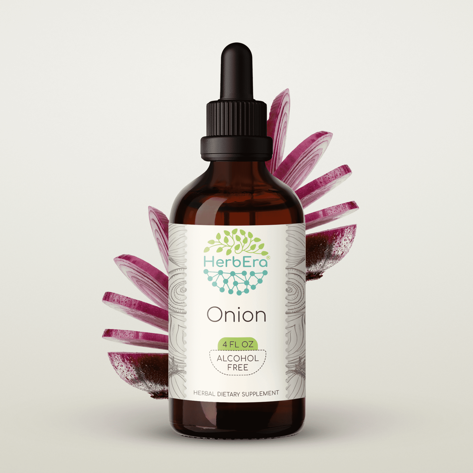 Onion Alcohol-FREE Herbal Extract Tincture, Super-Concentrated Organic ...