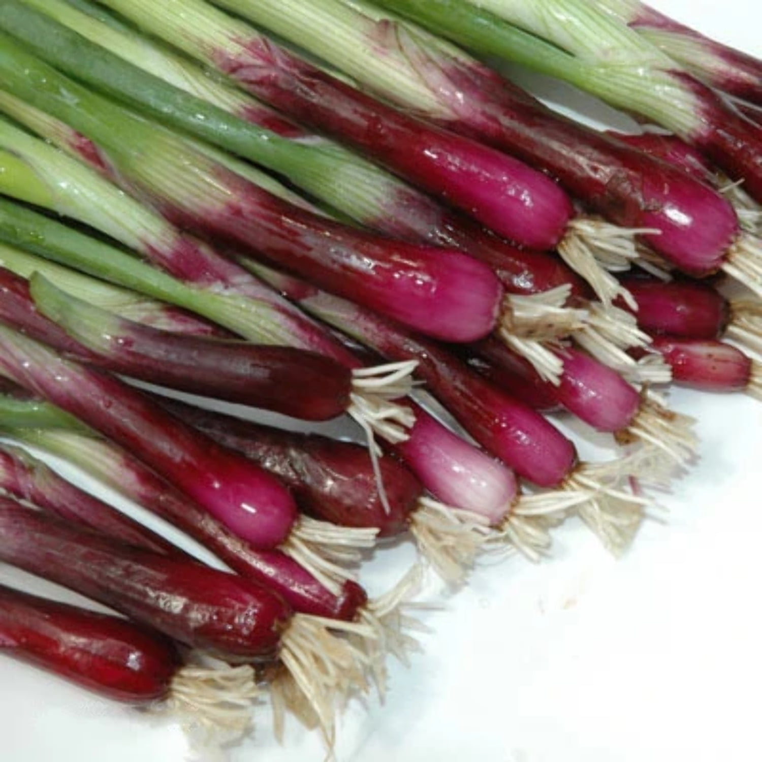 Onion Red Bunching F1 Seed - NON-GMO - 250 Seeds - Walmart.com