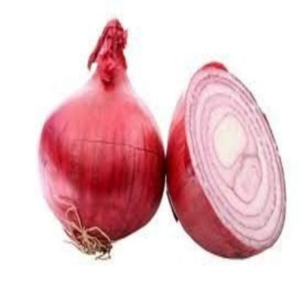 Onion Red Burgundy Great Heirloom Garden Vegetable by Seed Kingdom ...