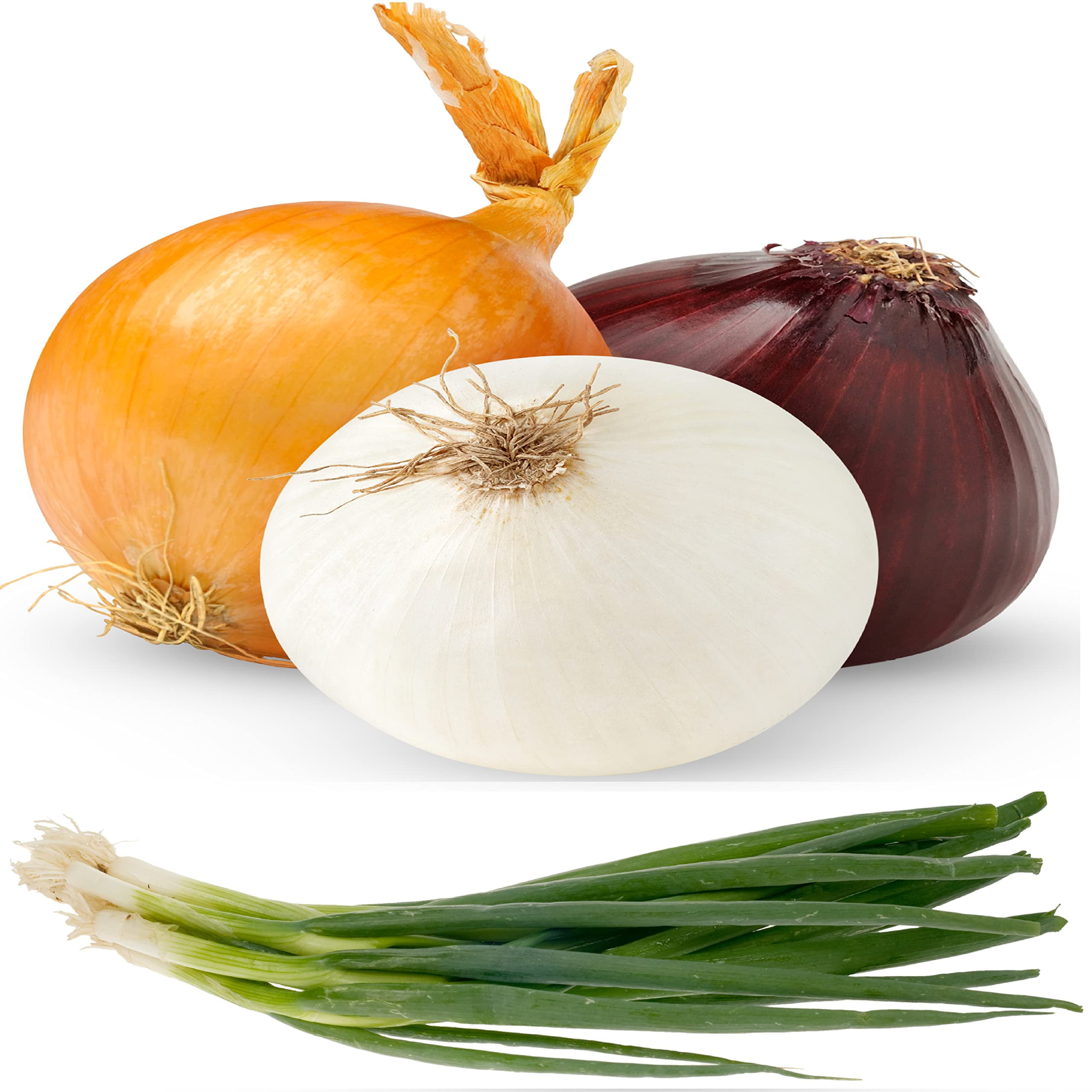 Onion Seeds Collection - 1000 Seeds - 4 Heirloom Non-GMO Varieties ...