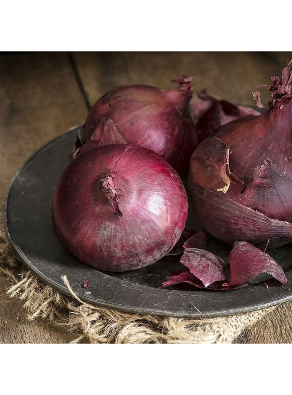 Onion Seeds in Seed Gardening - Walmart.com