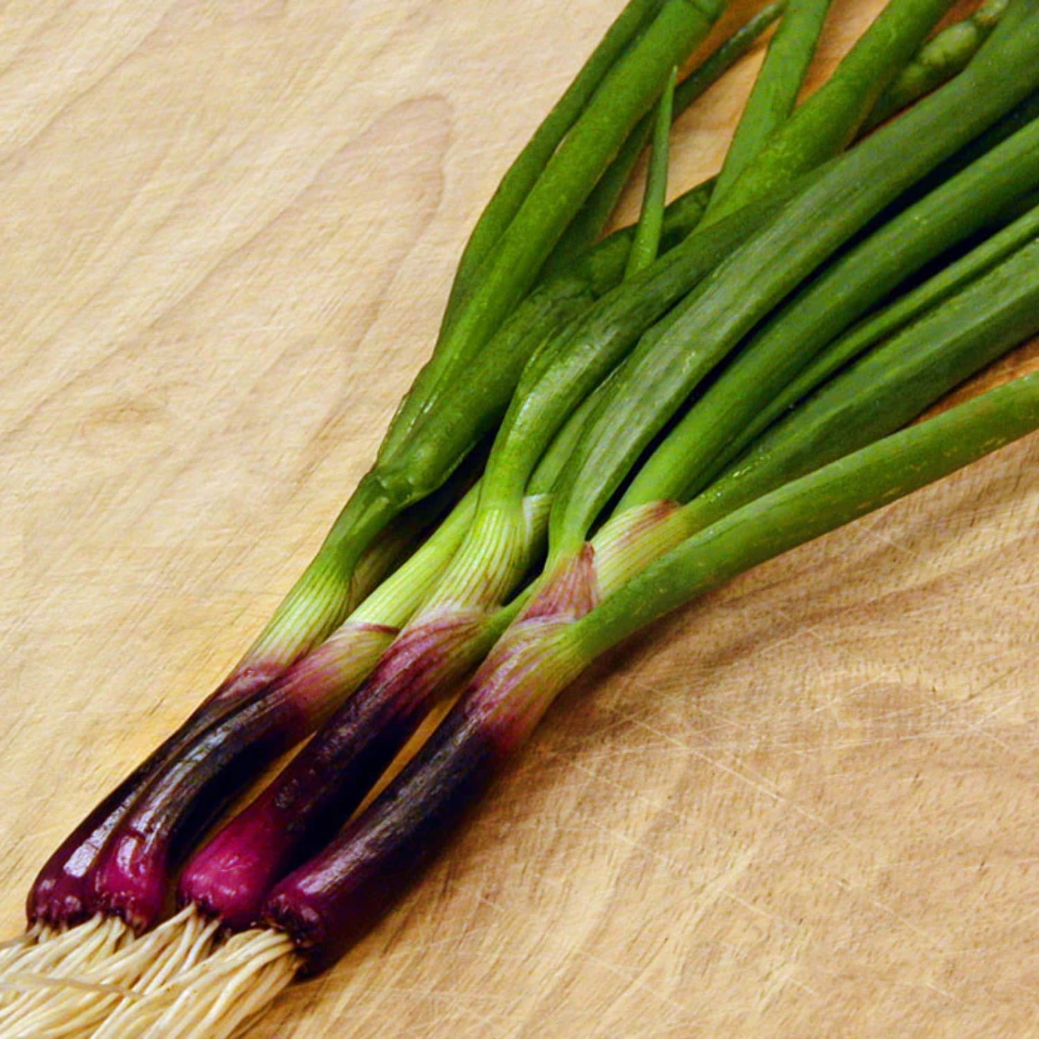 Onion Seeds - Red Baron Organic Variety Onion Seeds - Non-GMO - 50 ...