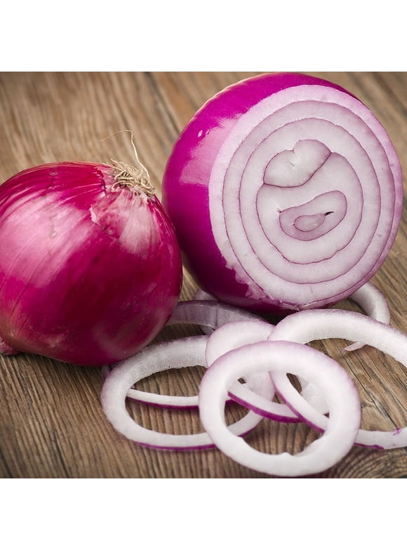 Onion Seeds in Seed Gardening - Walmart.com