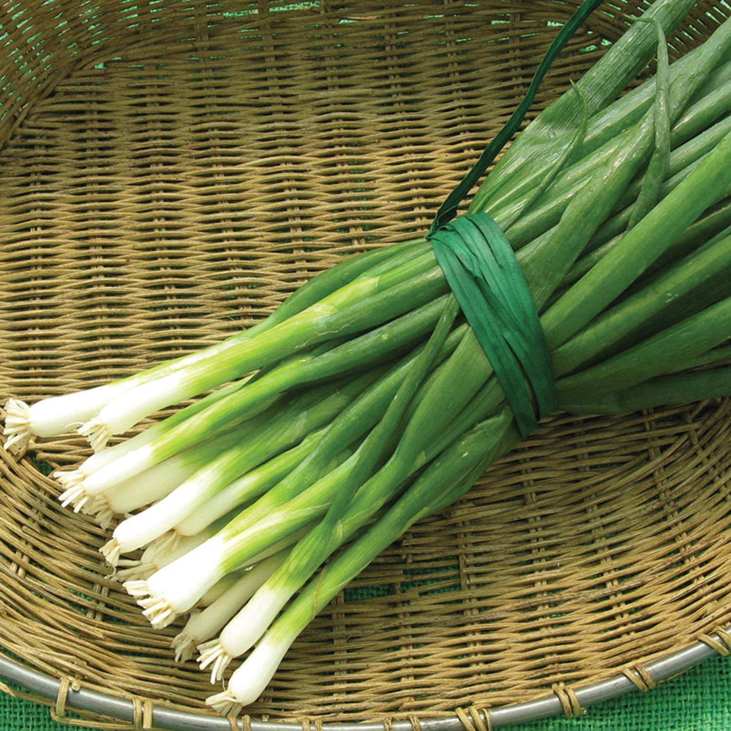 Onion Tokyo Long White Seed, Treated, 1/4 Pound - Walmart.com