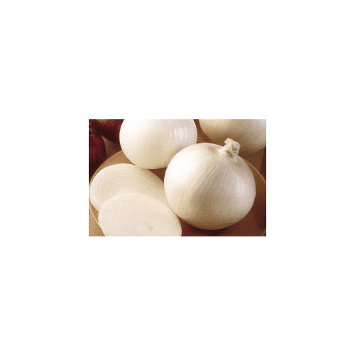 Onion White Sweet Spanish Great Heirloom Vegetable by Seed Kingdom (5 ...
