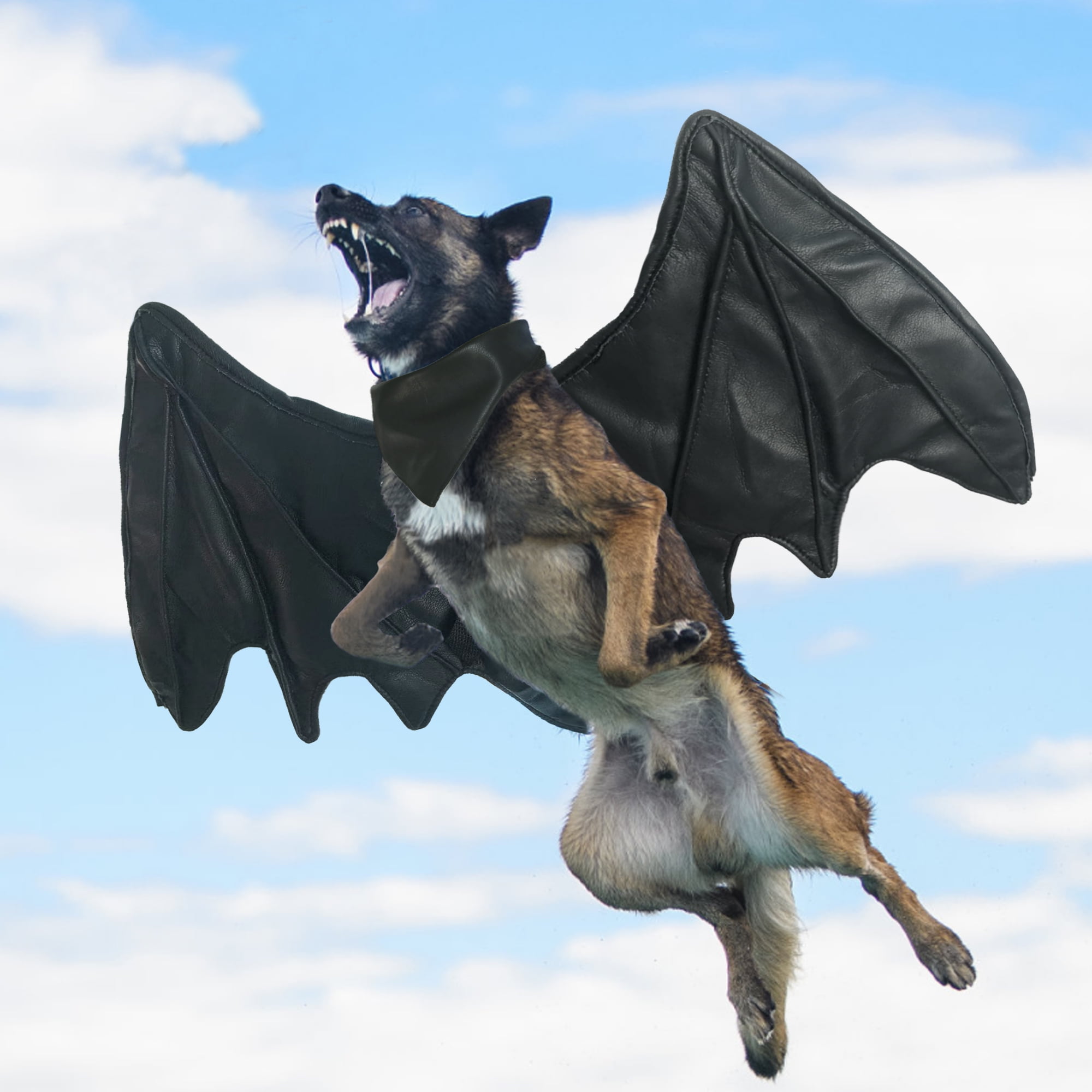 Onmygogo Funny Bat Dragon Wing Costumes for Dog, Cute Furry Pet ...