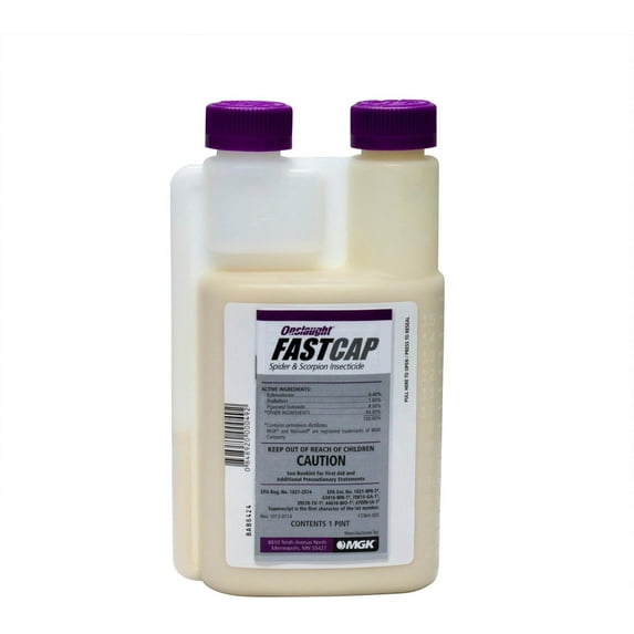 Onslaught Fastcap Spider Scorpion Insecticide Kills Scorpions Spiders ...