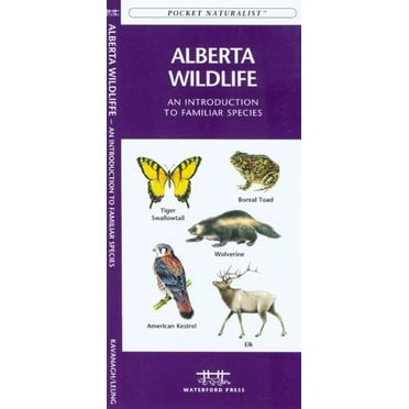 Oregon Birds: A Folding Pocket Guide to Familiar Species - Walmart.com