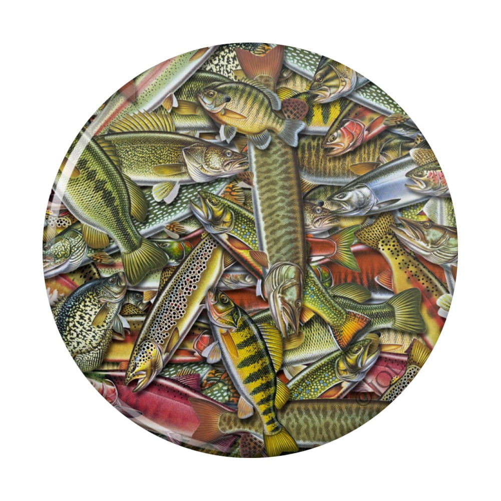 Oodles of Fish Fishing Salmon Trout Kitchen Refrigerator Locker Button ...