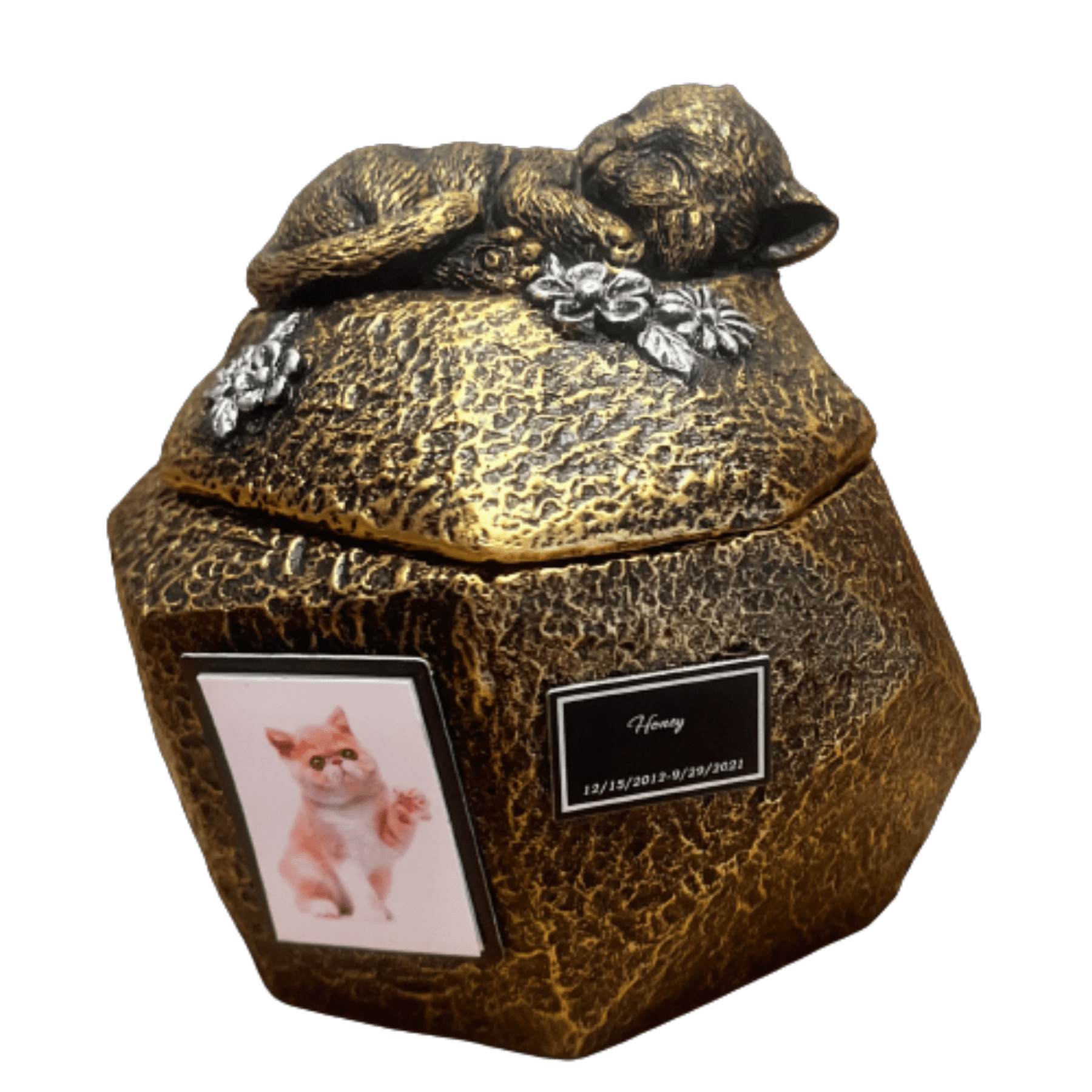 Ooooknpc Pet Cat Ashes Urn Cremation Container Box Memorial Statue ...