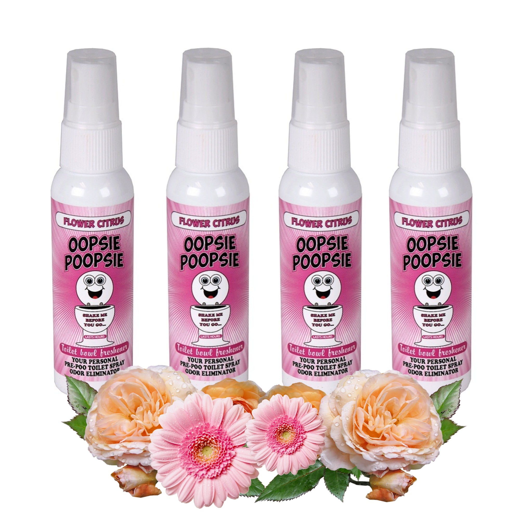 Oopsie Poopsie Poo Gone Bathroom Bowl Toilet Spray Deodorizer 2oz (2/4 ...