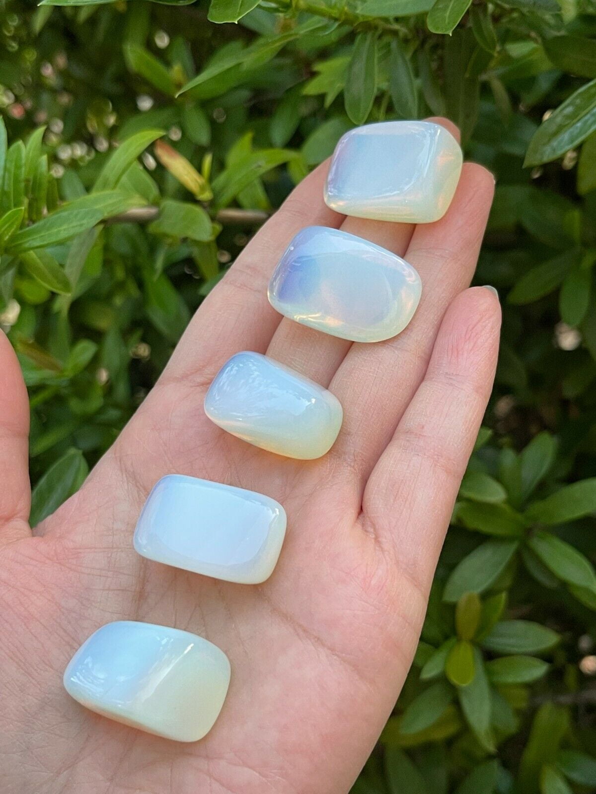 Opalite Tumbled Stones, 1-1.25 Inches Tumbled Opalite - Walmart.com