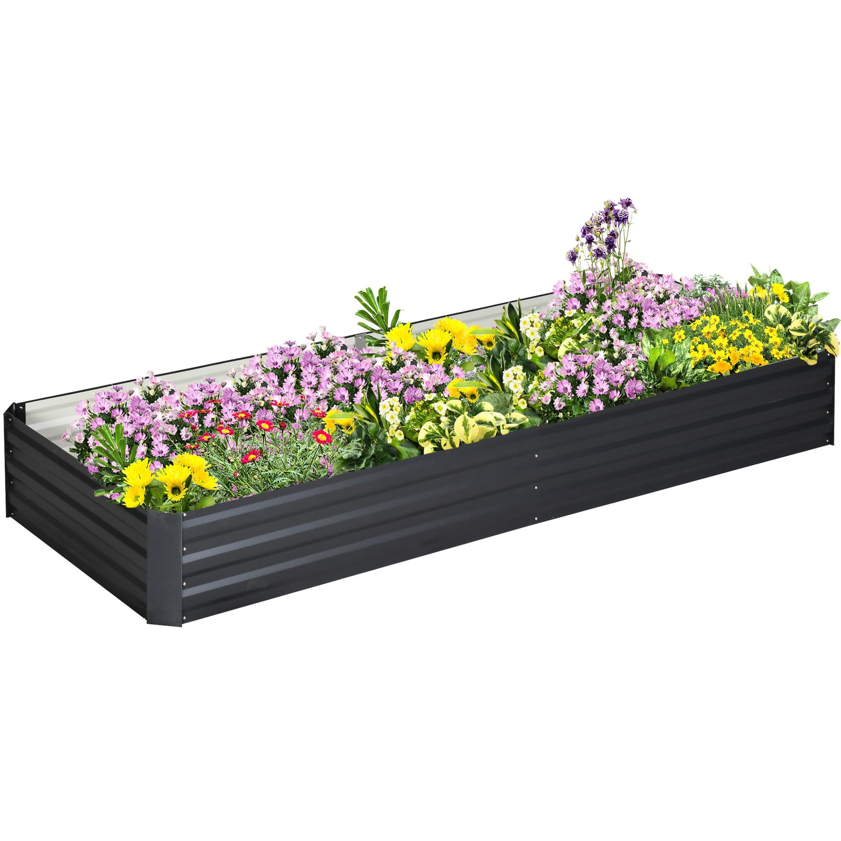Open Bottom Design | For Growing Various Plants | Prevents Water ...