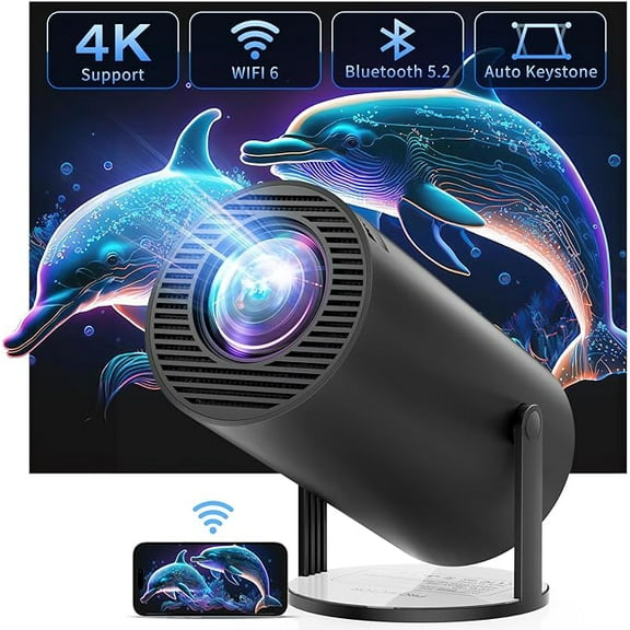 Roku Projector