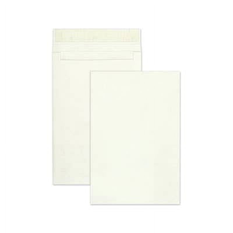 Open End Expansion Mailers, Dupont Tyvek, #15 1/2, Cheese Blade Flap ...