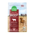 Open Farm Grass-Fed Beef Grain-Free Dry Dog Food, 4 lbs - Walmart.com