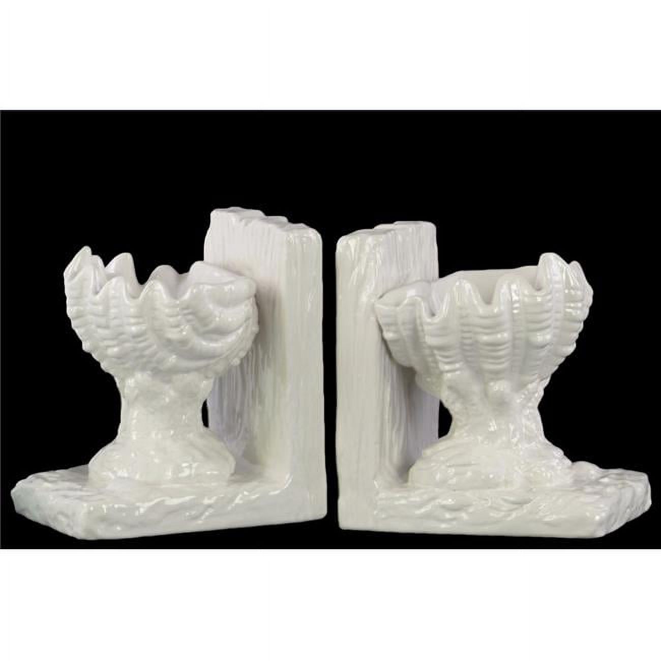 Open Valve Clam Seashell on Base Bookend, Assortment of 2 - White - 6. ...