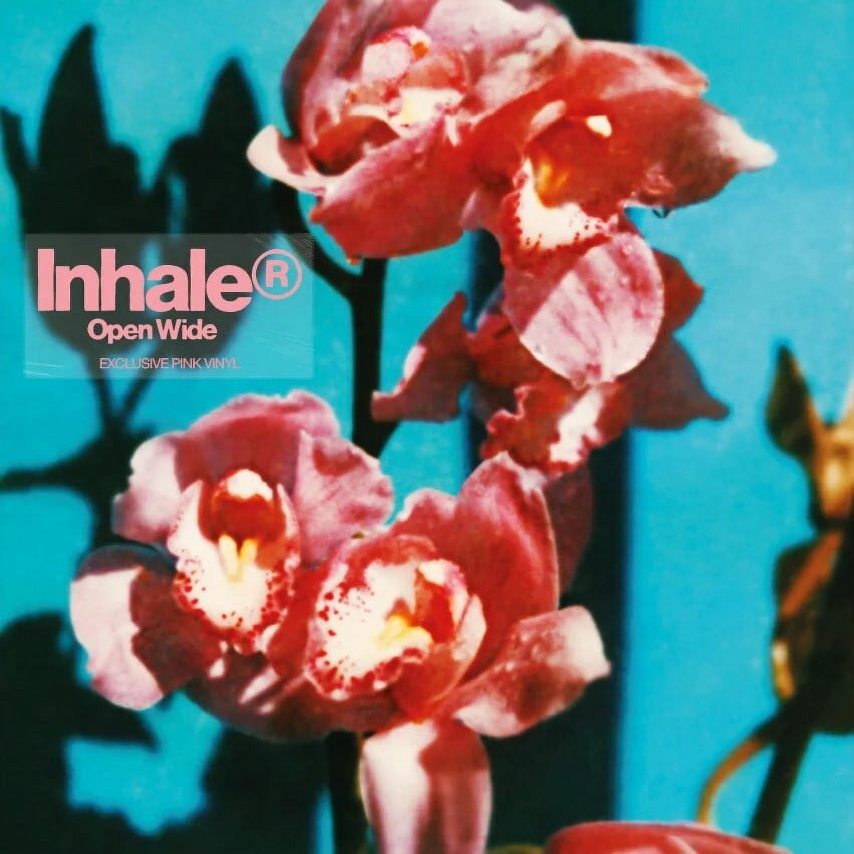 Inhaler Open Wide (Vinyl Record) 12" Album Coloured Vinyl (Limited ...