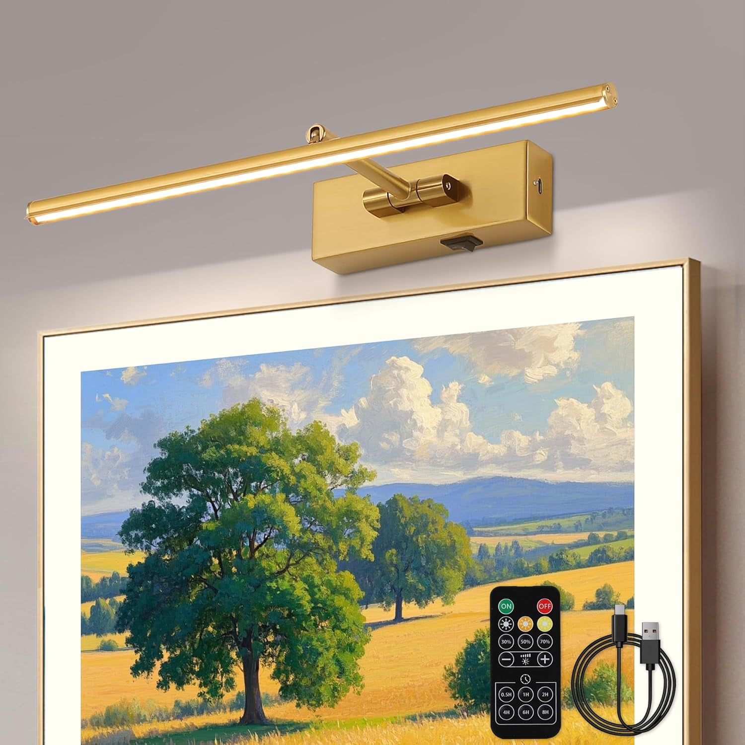 Operated Picture Light with Remote 3CCT Dimmable cordless Wall Art ...