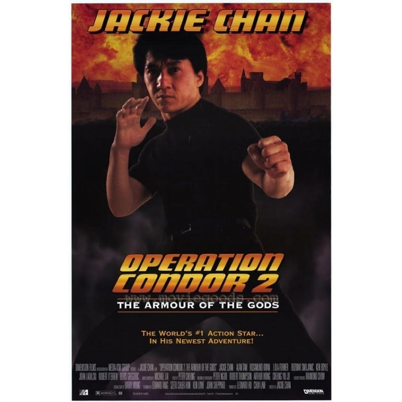 Operation Condor 2 Movie Poster (11 x 17) - Walmart.com