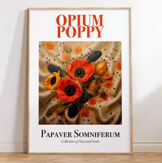 Opium Poppy Painting Print - Contemporary Culinary Art Design NO FRAMED ...