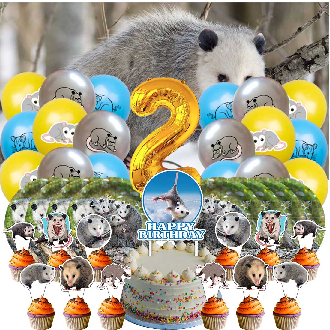 Opossum Balloons Party Supplies 2nd Decor Tableware Birthday Cake ...