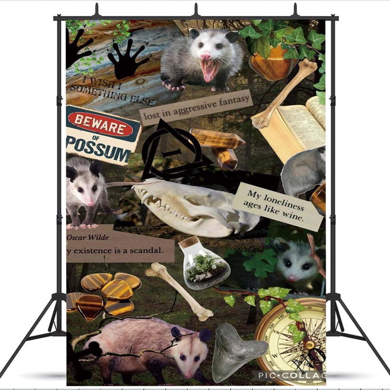 Opossum Birthday Party Supplies Banner Backdrop Background Taspestry ...