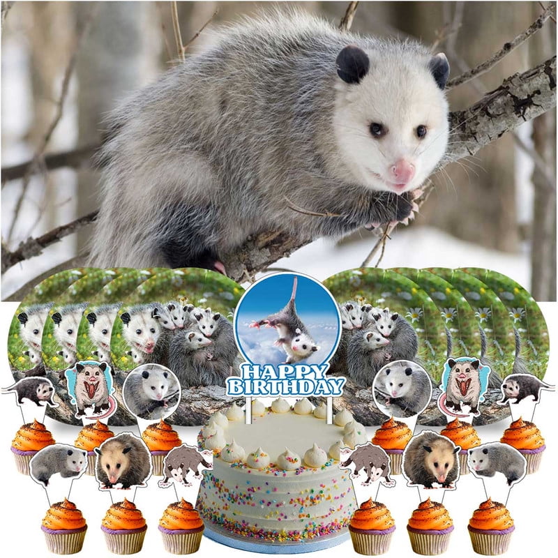 Opossum Birthday Plates Supplies Decorations Decor Backdrop Banner Cake ...